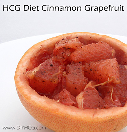 Free Diet Recipes | HCG Phase 2 Recipes from DIY HCG